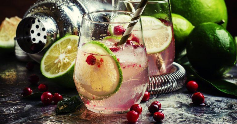 Vin Tonic – der neue Sommerdrink - Foodnewsgermany